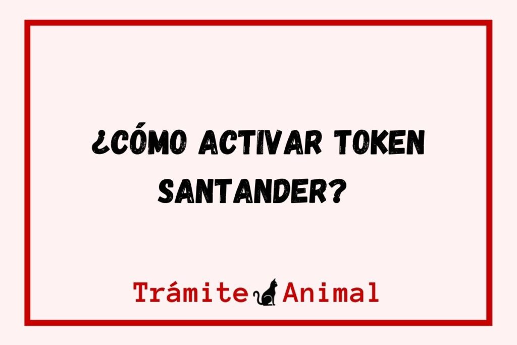 ¿Cómo activar Token Santander? •【Actualizado 2021