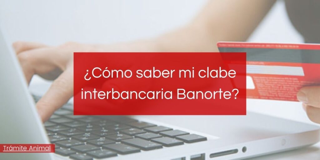 Cómo hacer una transferencia Banorte a otro banco •【2021
