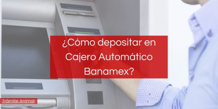 ¿Cómo activar NetKey Banamex? •【2021