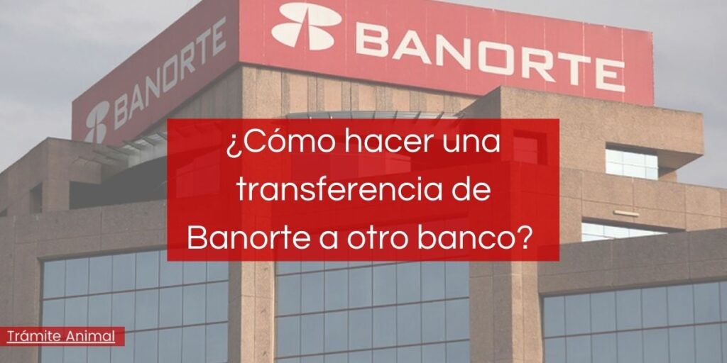 Cómo cancelar una tarjeta de débito Banorte •【2021