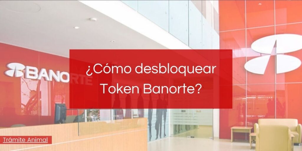 ¿Cómo checar el saldo de mi tarjeta Banorte? •【2021