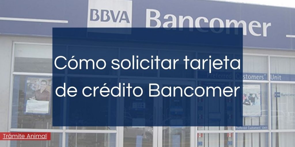 Cómo checar el saldo de mi tarjeta Bancomer 2021 | Trámites Bancomer BBVA