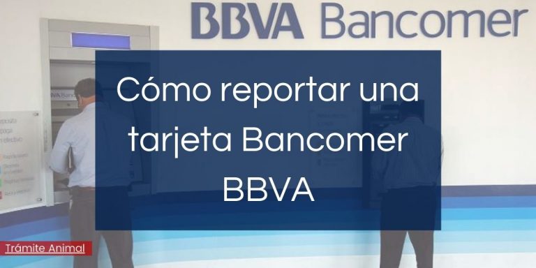 Cómo depositar un cheque en cajero Bancomer en 2021