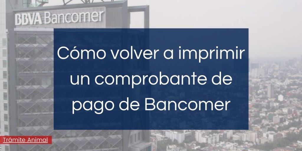 Cómo depositar un cheque en cajero Bancomer en 2021