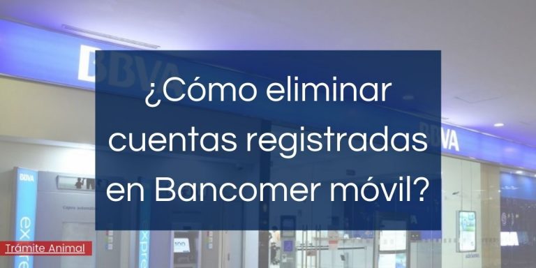 Cómo sacar mi estado de cuenta Bancomer en 2021