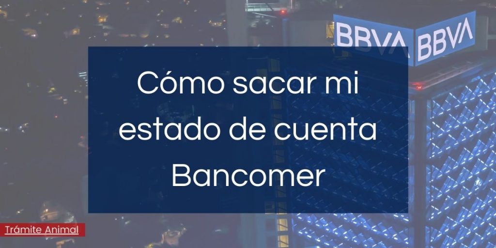 Imprimir mi póliza de seguro Bancomer en línea 2021 | Trámites Bancomer ...