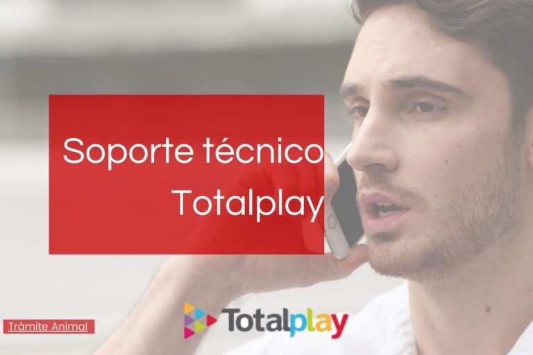 Cómo poner Netflix en Totalplay en 2021 •【Actualizado】