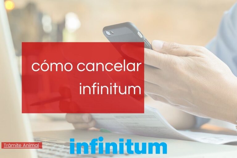 Cómo saber si me roban el internet Infinitum •【2021