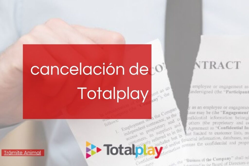Cómo ver Totalplay en mi PC •【2021