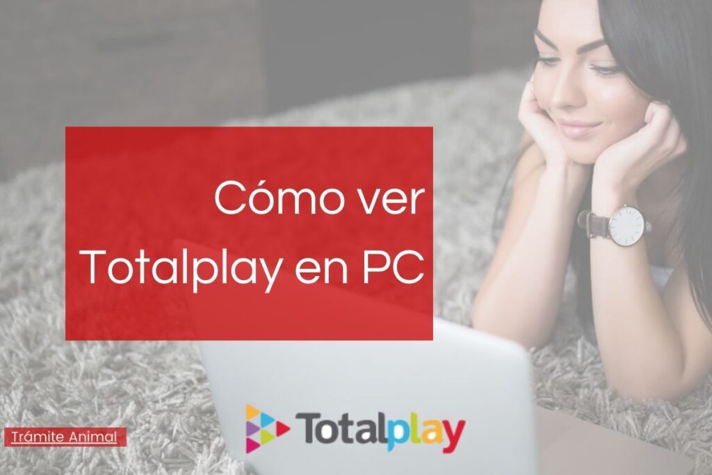 Cómo entrar a la configuración de módem Totalplay •【2021】